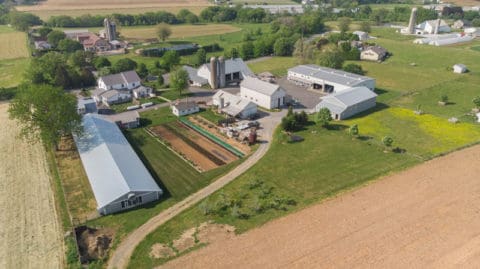 Meet Our Farmers - Alderfer Eggs